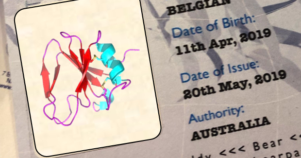 PCS-ID - The Protein Chemical Synthesis Database